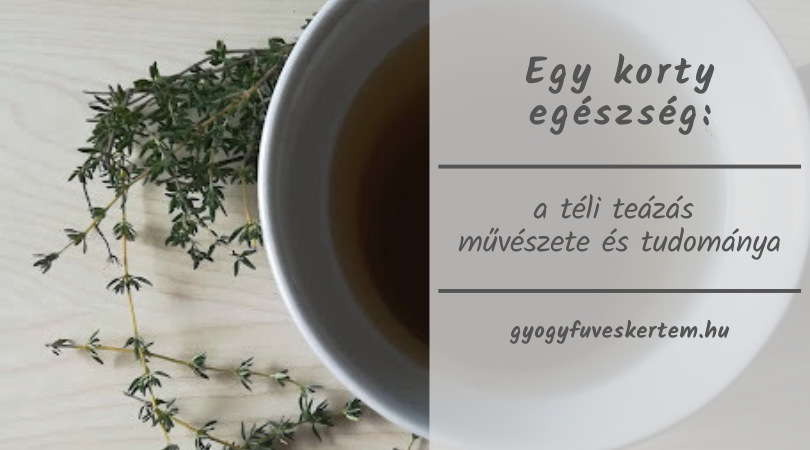 Egy korty egészség: a téli teázás művészete és tudománya - GyógyfüvesKertem